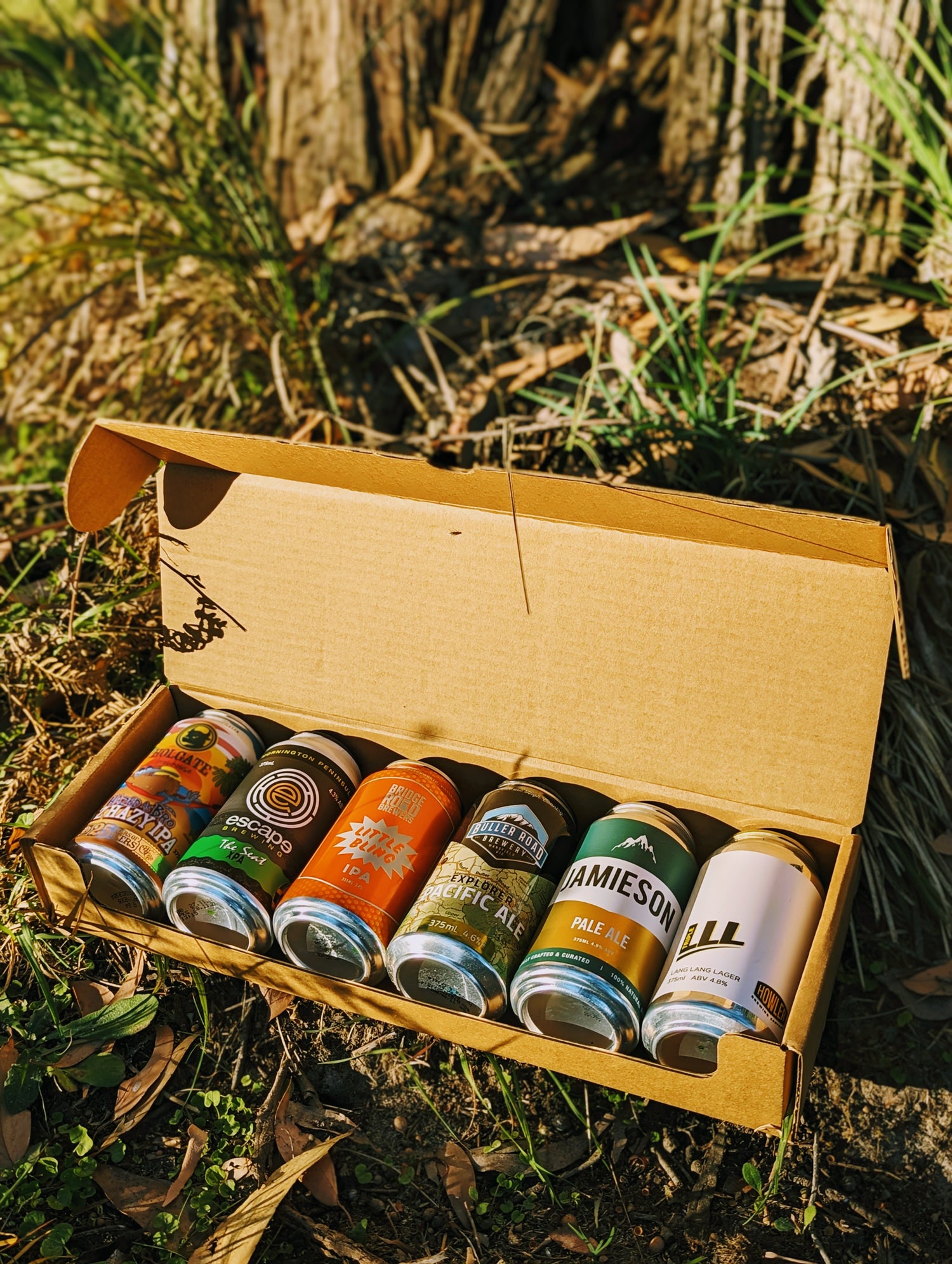 Untapped Collective Beer Sales